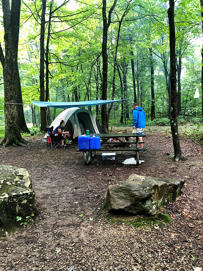 Camping among the trees at Ohiopyle: where s'mores taste better, stars shine brighter, and morning coffee becomes a religious experience.