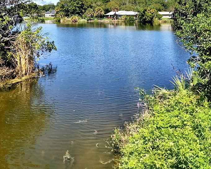 Neighborhood lakes create natural gathering spots where conversations flow as freely as the gentle Florida waters.