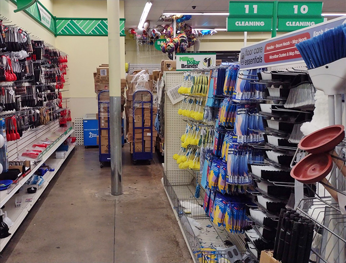 The cleaning aisle—where domestic heroes arm themselves for battle against household chaos without emptying their wallets.