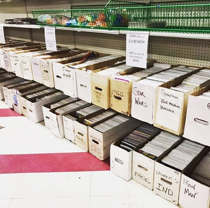 Comic book heaven organized in meticulous boxes—where Spider-Man, Iron Man, and childhood nostalgia live on for just $3 each.