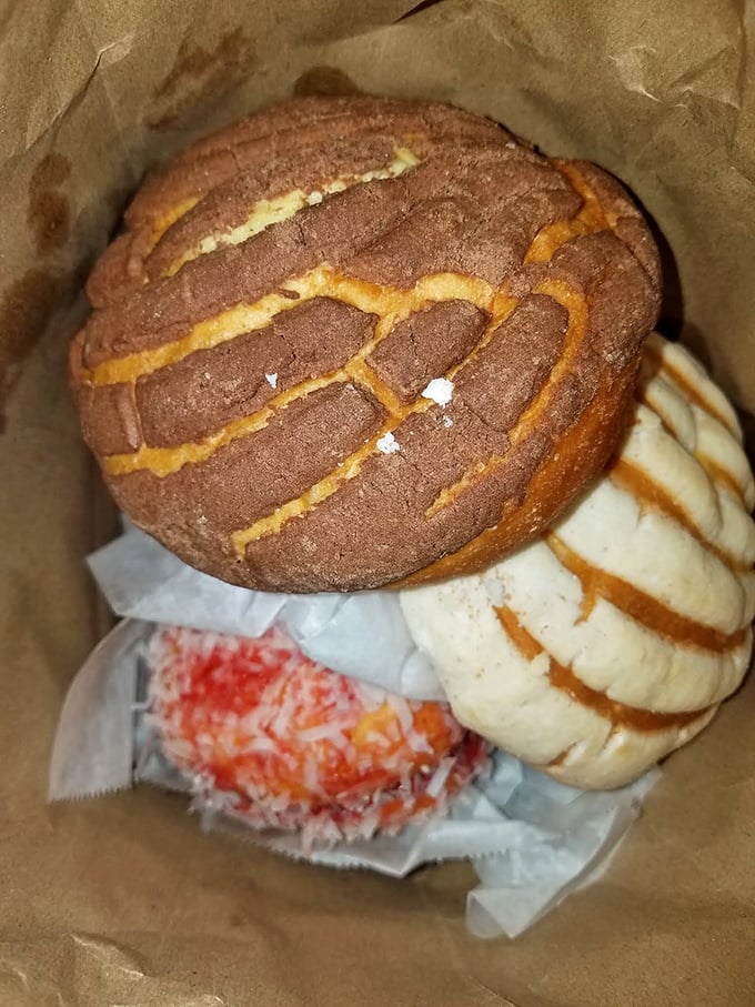 Behold the concha—Mexico's answer to the donut, but with personality. That chocolate-striped top isn't just decoration; it's a flavor roadmap to happiness.