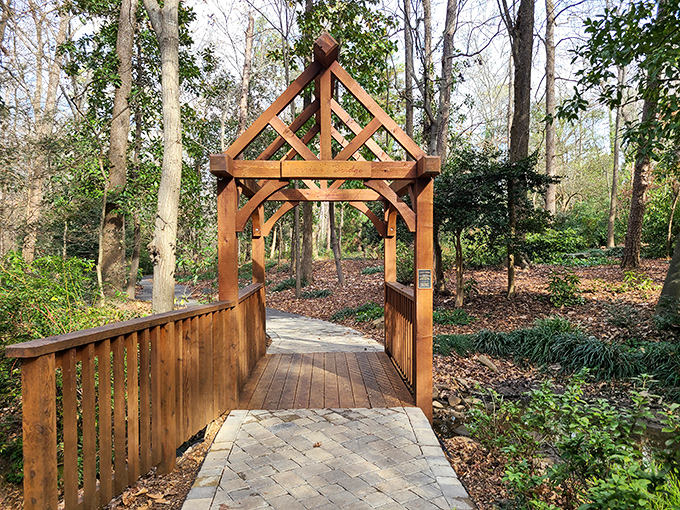 This wooden bridge isn't just a pathway – it's a portal between worlds, where everyday worries dissolve with each step across.