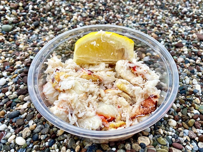 Dungeness crab in its purest form – sweet, delicate meat that needs nothing more than a squeeze of lemon and a moment of silent appreciation.