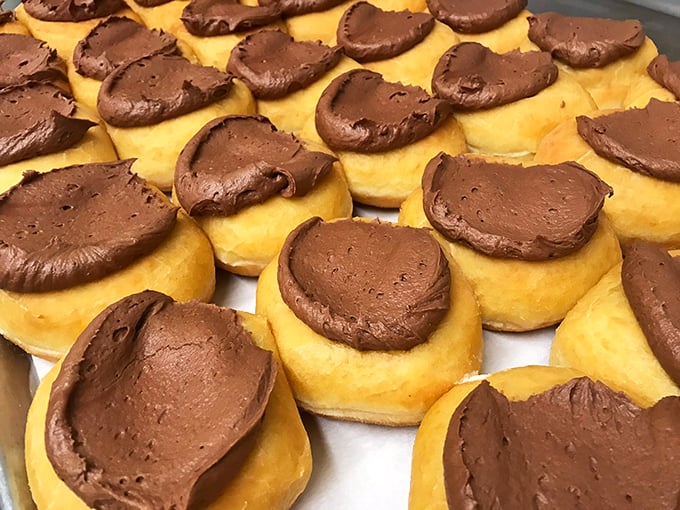 Chocolate-topped cream donuts lined up like edible works of art—proof that sometimes the simplest pleasures are the most extraordinary.