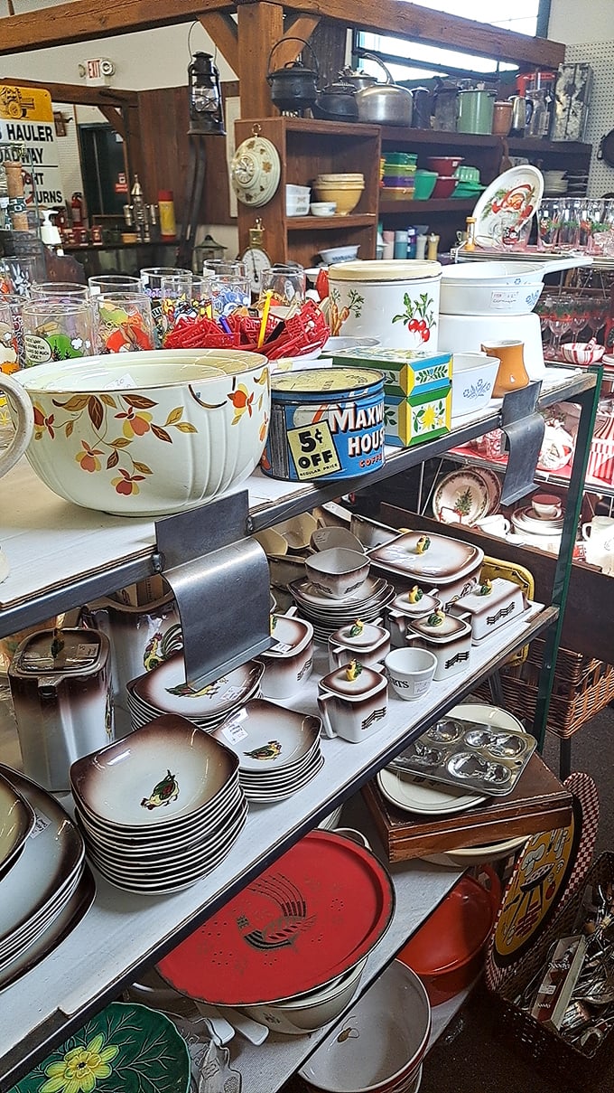 Grandma's china cabinet come to life! From delicate Depression glass to sturdy jadeite, these dishes have survived decades of Sunday suppers and holiday celebrations.