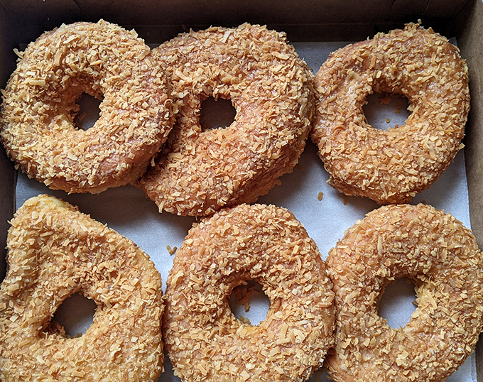 Coconut-topped donuts lined up like tropical soldiers ready for duty. These golden rings aren't just breakfast—they're vacation vibes without the airfare. 