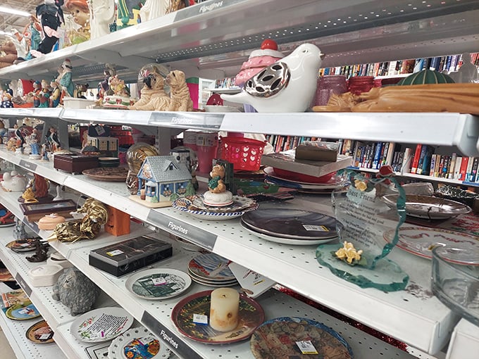 This menagerie of figurines tells stories of living room shelves past—each porcelain dog and ceramic bird awaiting its next chapter.