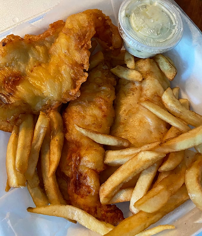 Fish and chips that would make a British pub jealous—golden, crispy batter protecting flaky white fish, with fries standing by for gravy-dipping duty.