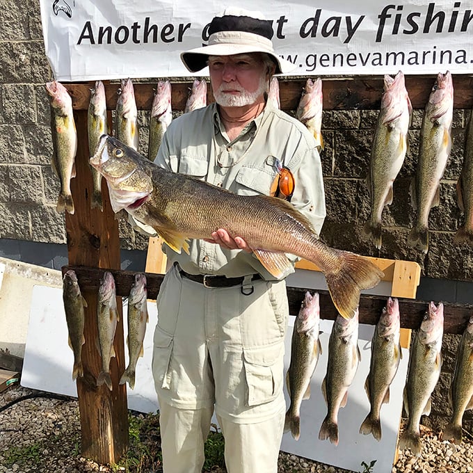 The fisherman's version of a LinkedIn profile picture. That walleye could feed a family reunion, and he knows it.