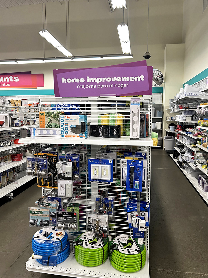 The home improvement section offers everything from garden hoses to lighting fixtures—proof that fixing up your space needn't empty your wallet.