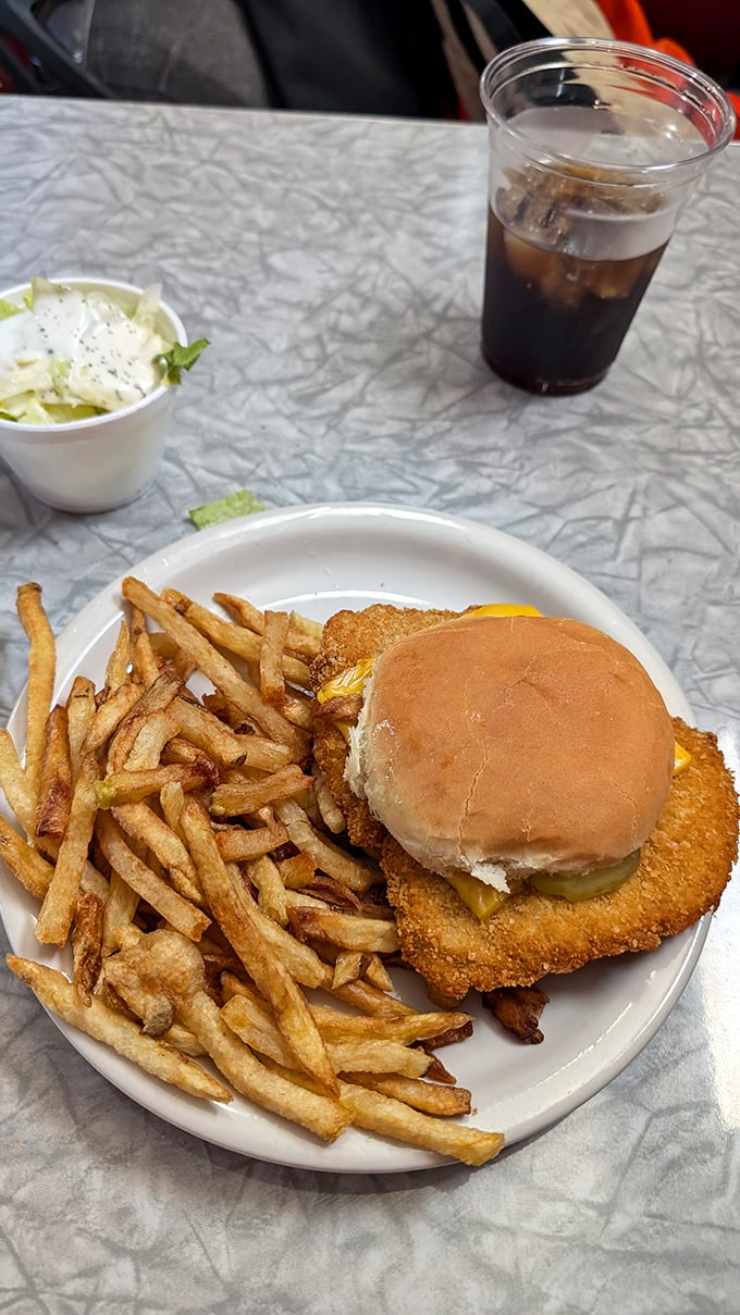 The holy trinity of diner perfection: golden fries, a frosty cola, and a tenderloin sandwich that requires its own zip code.