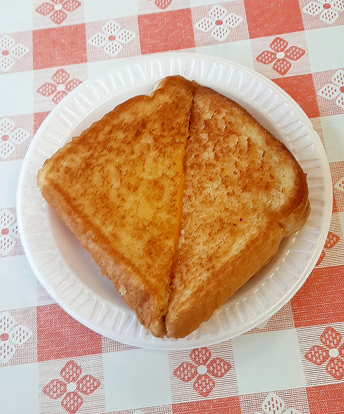 A perfectly grilled cheese sandwich that achieves that elusive golden-brown perfection—proof that simplicity, when done right, needs no explanation.