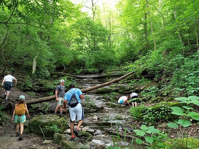 Family exploration at its finest—where muddy shoes are badges of honor and finding salamanders under rocks counts as screen time.