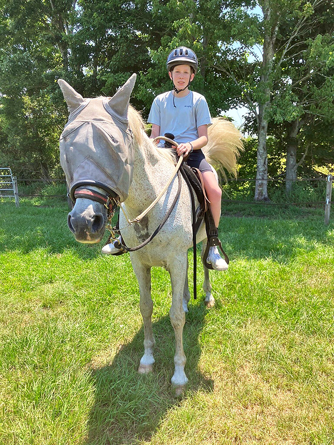 Horseback riding through Lake Louisa offers a perspective that hiking can't match—elevated views and the gentle rhythm of hoofbeats on sandy trails.
