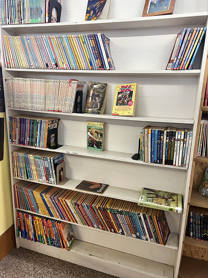 Children's classics and teen favorites line these shelves, many showing the loving wear of multiple readings – proof that good stories never really grow old.