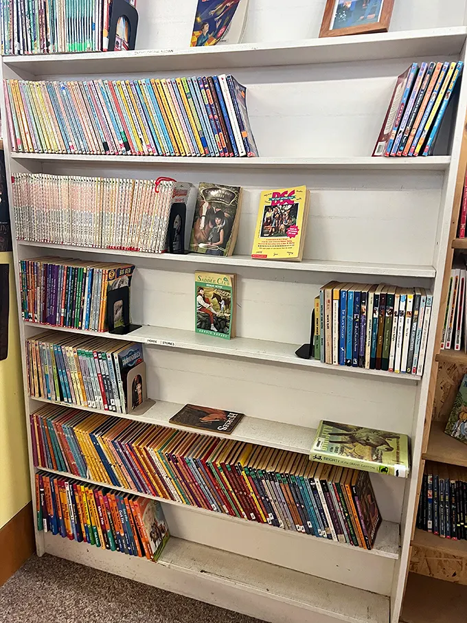 Children's classics and teen favorites line these shelves, many showing the loving wear of multiple readings – proof that good stories never really grow old.