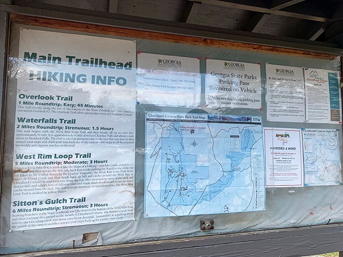 The trailhead board—nature's version of a restaurant menu where every option sounds delicious but comes with a calorie-burning guarantee.