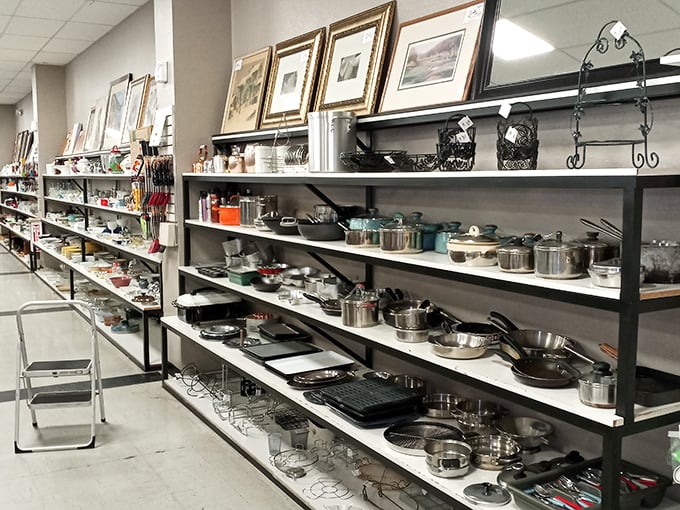 Kitchen essentials that once ruled suburban countertops now offer culinary possibilities at thrift store prices.