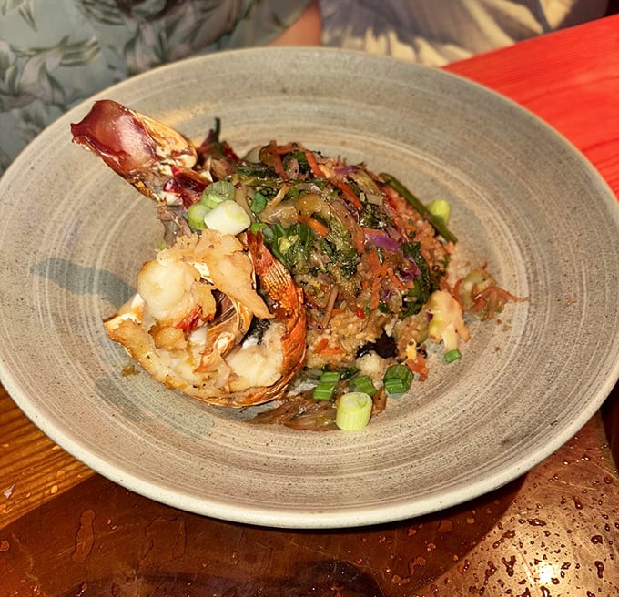 This isn't just lobster fried rice—it's a seafood celebration where each grain has been personally introduced to perfectly cooked crustacean and vibrant vegetables.