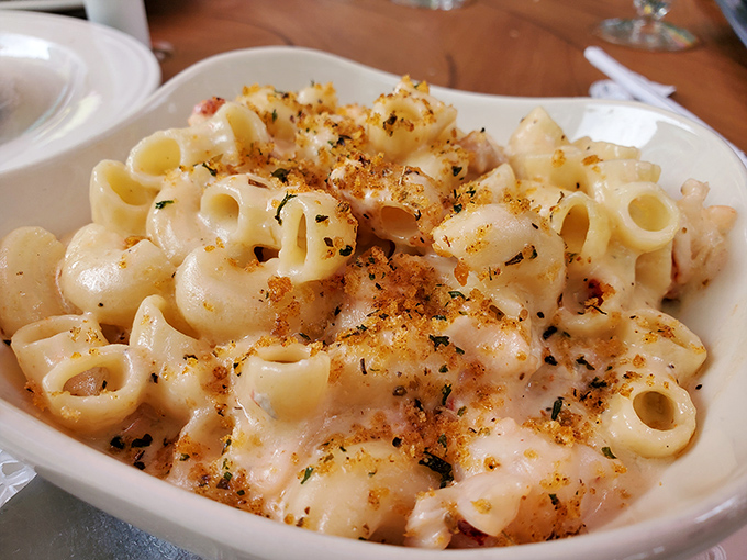 Lobster mac and cheese that makes you question why you ever ate the blue box version, with generous chunks of lobster playing hide-and-seek among perfectly al dente pasta.
