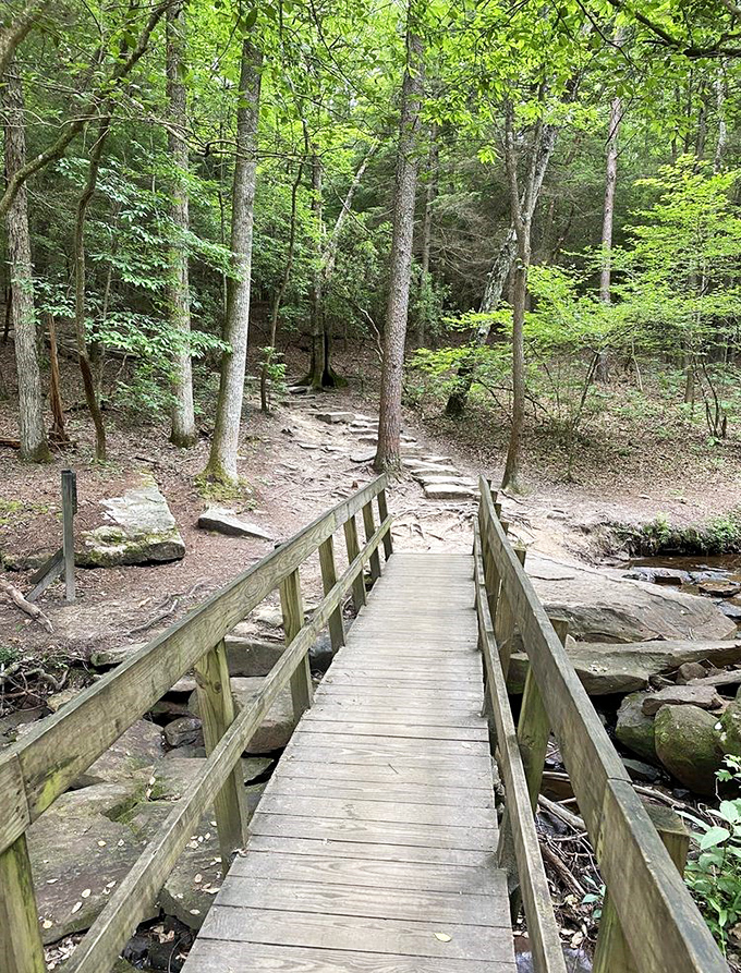 This humble wooden bridge doesn't just connect two trails—it connects you to the kind of tranquility that expensive meditation apps try desperately to simulate.