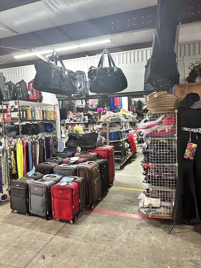 The luggage section—where every suitcase whispers promises of future adventures while your practical side wonders where you'll store them all.