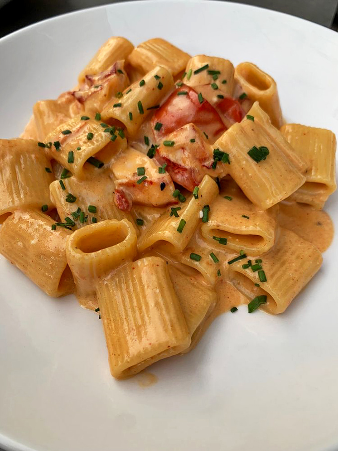 Lobster mac and cheese that's worth every calorie—rigatoni swimming in creamy decadence with generous chunks of sweet lobster meat. Diet starts tomorrow!