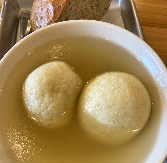 These matzo balls float like clouds in golden broth—Jewish penicillin that could cure anything from sniffles to existential dread.