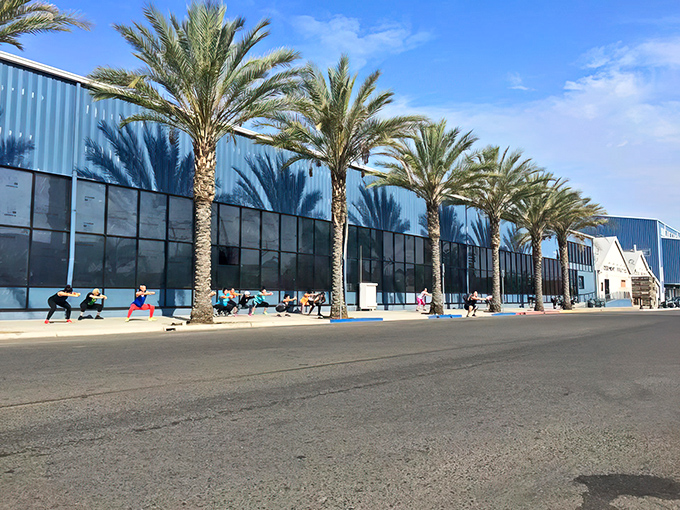 McDermont X isn't just a building—it's a community hub where palm trees stand guard over fitness enthusiasts and recreation seekers.