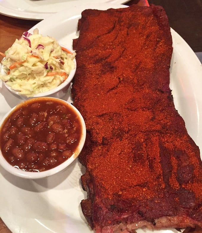 Dry-rubbed ribs with that signature red spice crust—Memphis-style barbecue doesn't need to shout with sauce when the meat speaks this eloquently.