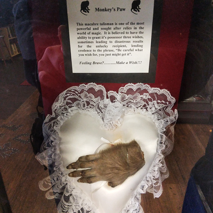 The legendary Monkey's Paw sits delicately on lace, looking innocent enough. Be careful what you wish for—this artifact comes with warnings for good reason.