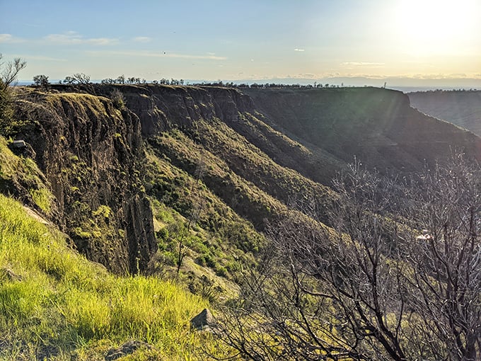 North Table Mountain's dramatic cliffs would make Game of Thrones location scouts weep with joy. The valley views alone are worth the climb.