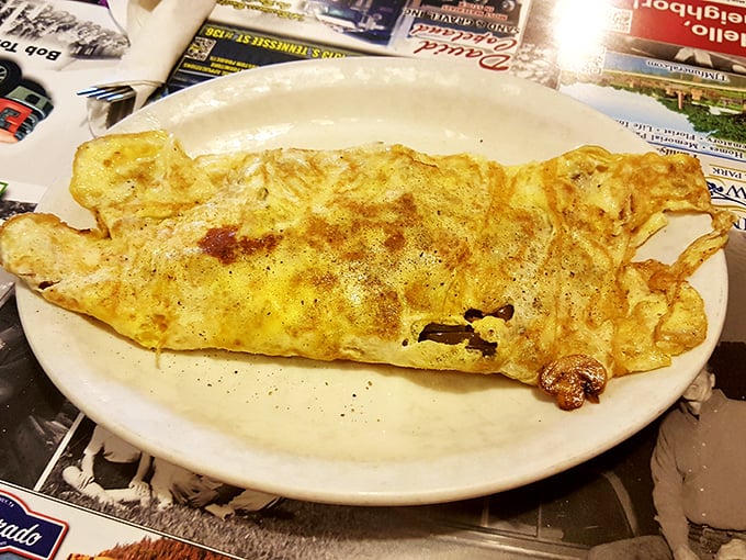 This omelet doesn't just fill the plate – it commands it. Perfectly executed simplicity that would make Julia Child nod approvingly.