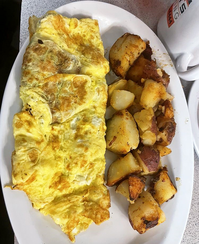 This omelet doesn't just fill the plate—it conquers it. Paired with those seasoned potatoes, it's the breakfast equivalent of winning the lottery.