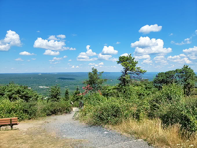 Miles of mountain ridges unfold like nature's own topographical map, proving Pennsylvania knows how to show off.