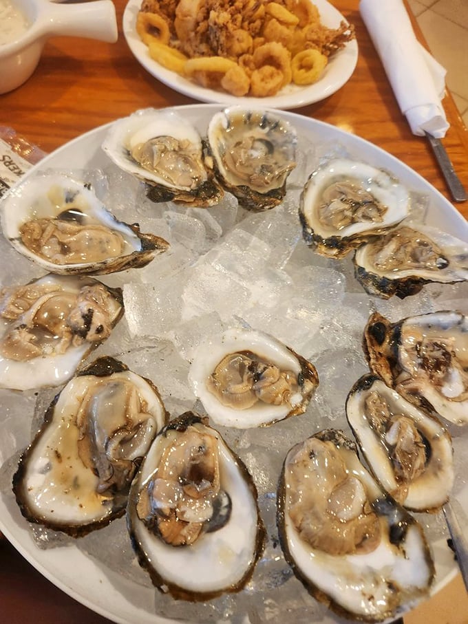 A dozen fresh oysters on ice – nature's perfect appetizer and proof that sometimes the best things come in shell packages.