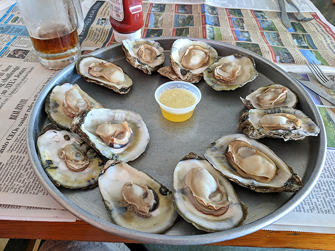 These oysters aren't just seafood—they're little cups of the Atlantic, served with a side of maritime history and melted butter.