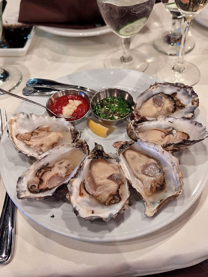 Fresh oysters arranged like nature's perfect appetizer—briny treasures from the sea served with classic accompaniments that let their ocean-kissed flavor shine.