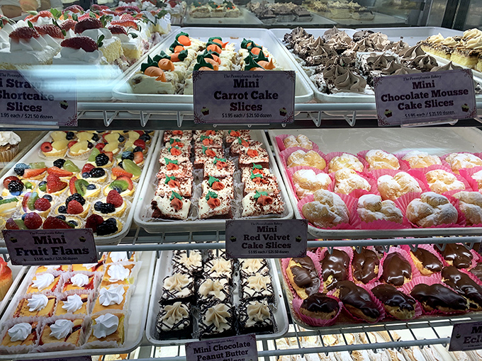 This display case isn't just a showcase—it's the United Nations of mini desserts where every sweet diplomat deserves equal appreciation.