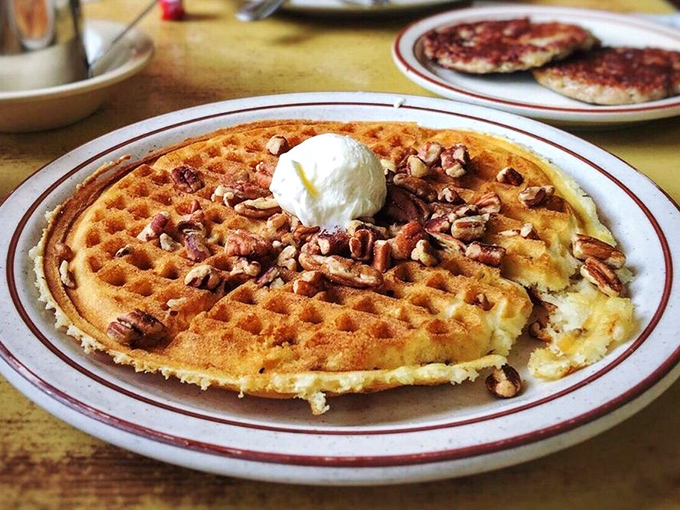 The pecan waffle arrives like edible architecture—crisp exterior, fluffy interior, with nuts that add just the right crunch. That butter pat melts with purpose.