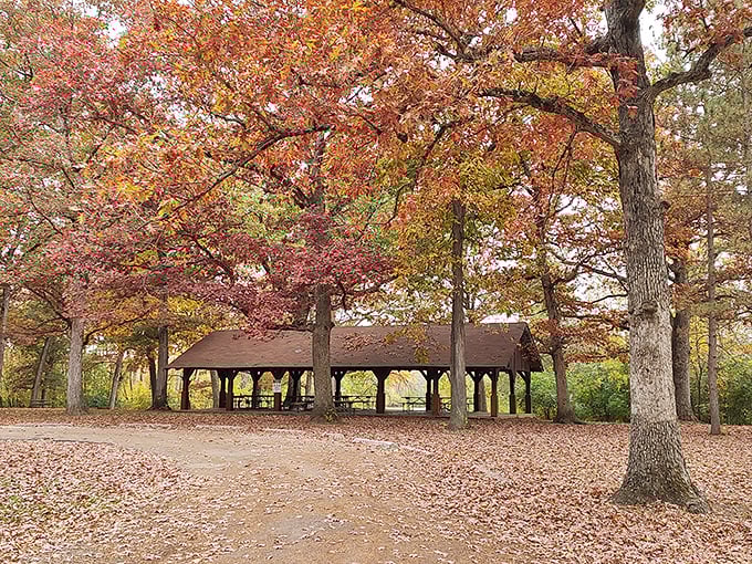 Fall's copper canopy transforms this picnic shelter into nature's finest dining room – no reservations required.