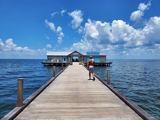 This wooden pier stretches toward possibility, inviting anglers and dreamers alike. The simplicity of board and nail creates the perfect runway to nowhere important.