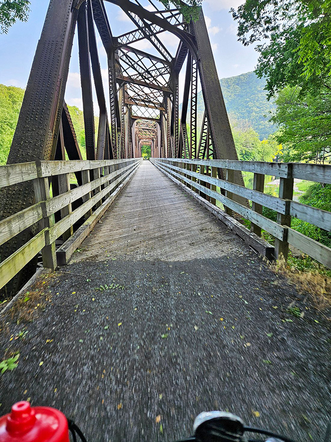 The converted rail trail offers nature's version of Netflix—endless episodes of scenic views without subscription fees or buffering issues.