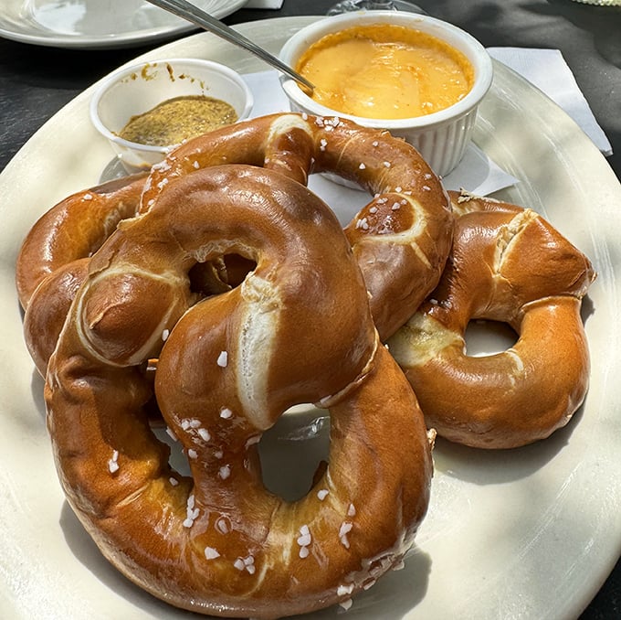 Bavarian pretzels with cheese dip—because sometimes wine needs a carb companion that's dressed better than you are for the occasion.