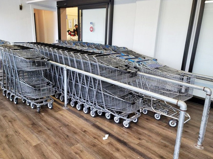 Shopping cart armada awaiting treasure hunters. Like chariots for the bargain-obsessed, they stand ready to carry home the spoils of thrifting victory.
