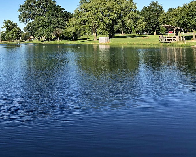 Riverside Park offers a tranquil escape where glassy waters mirror towering trees, creating nature's perfect symmetry just steps from downtown bustle.