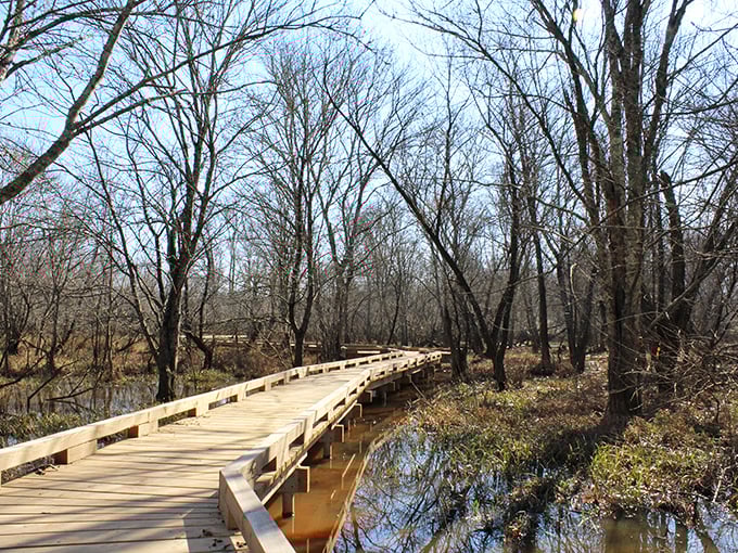 Nature's version of a meditation app comes free at Rocky River Nature Park. This wooden boardwalk through wetlands offers more peace than any yoga class—and no awkward poses required.