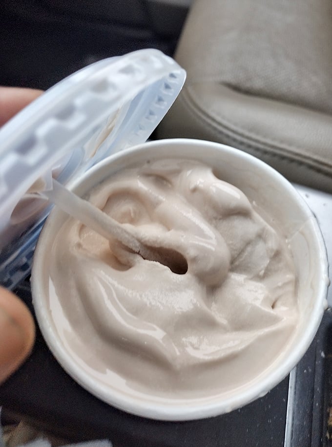This isn't just ice cream in a cup—it's a creamy masterpiece that requires serious straw strength and zero guilt.