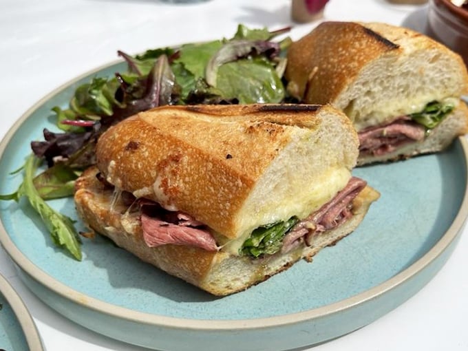 This sandwich isn't just lunch—it's architecture. Perfectly toasted bread creating the foundation for what might be the most photogenic meal in Sonoma.
