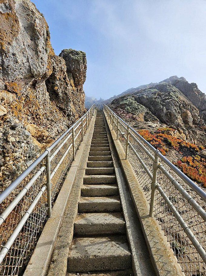 Stairway to heaven? Close. These steps lead to one of California's most dramatic viewpoints—with a cardiovascular workout thrown in for free.